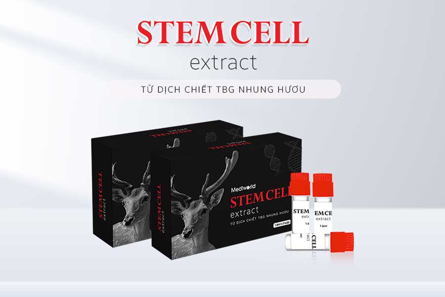 Stemcell Extract | Mediworld