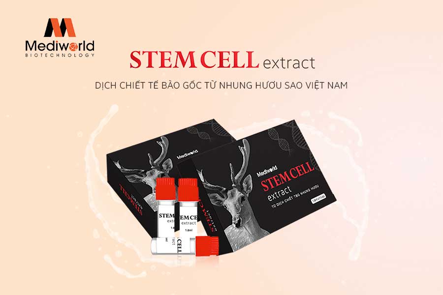 Stemcell Extract | Mediworld